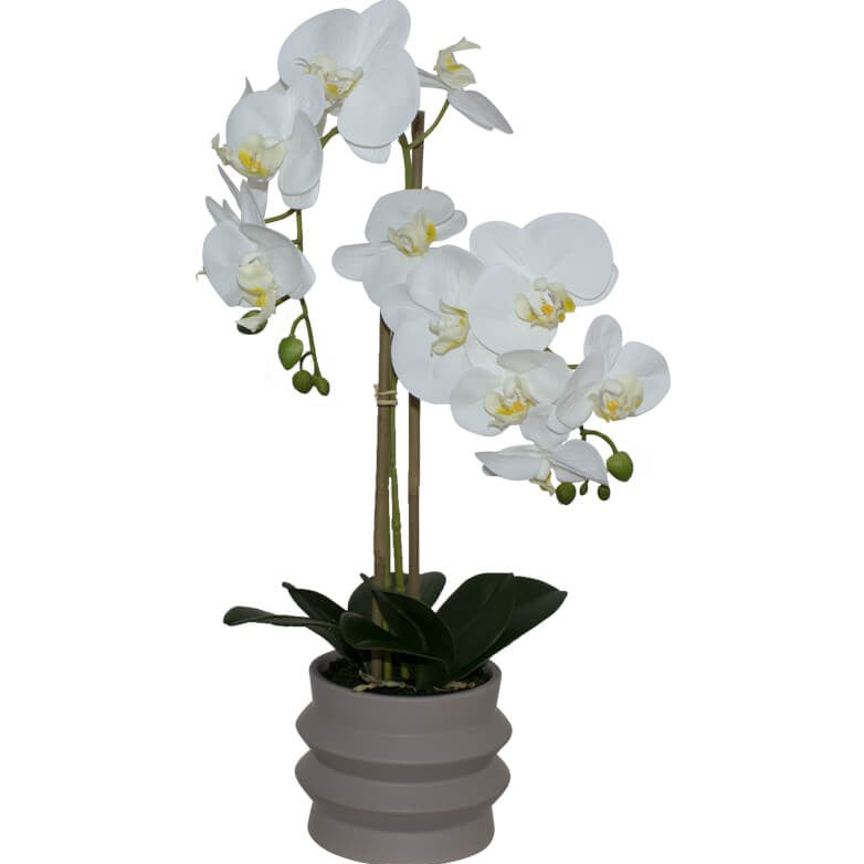 White Real Feel Orchid in Ripple Pot (58 cm) – MHF Decor-Delights